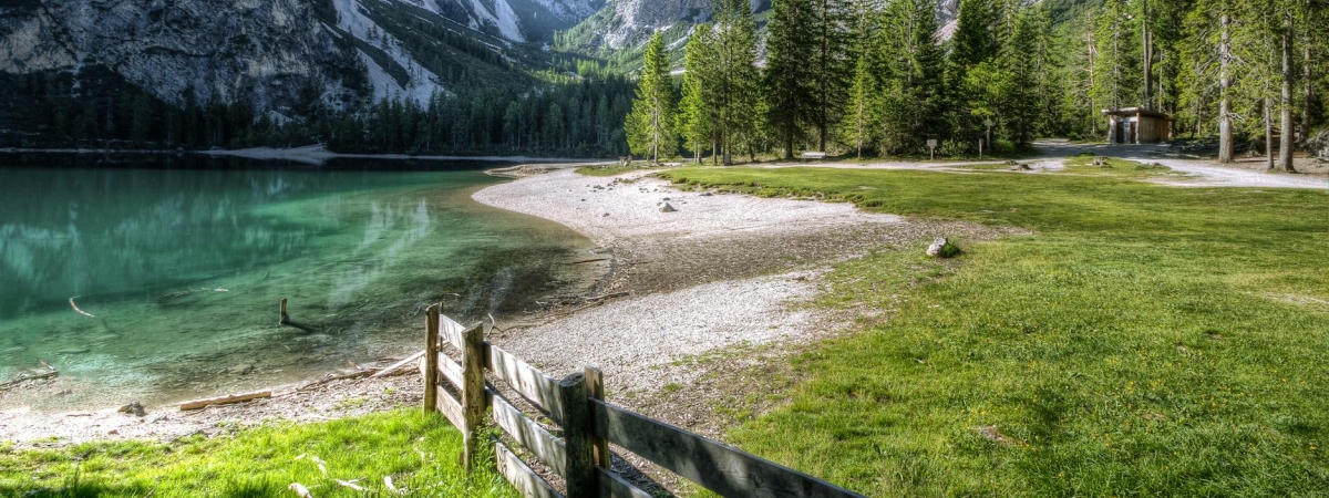 About | Mayo Star Indonesia